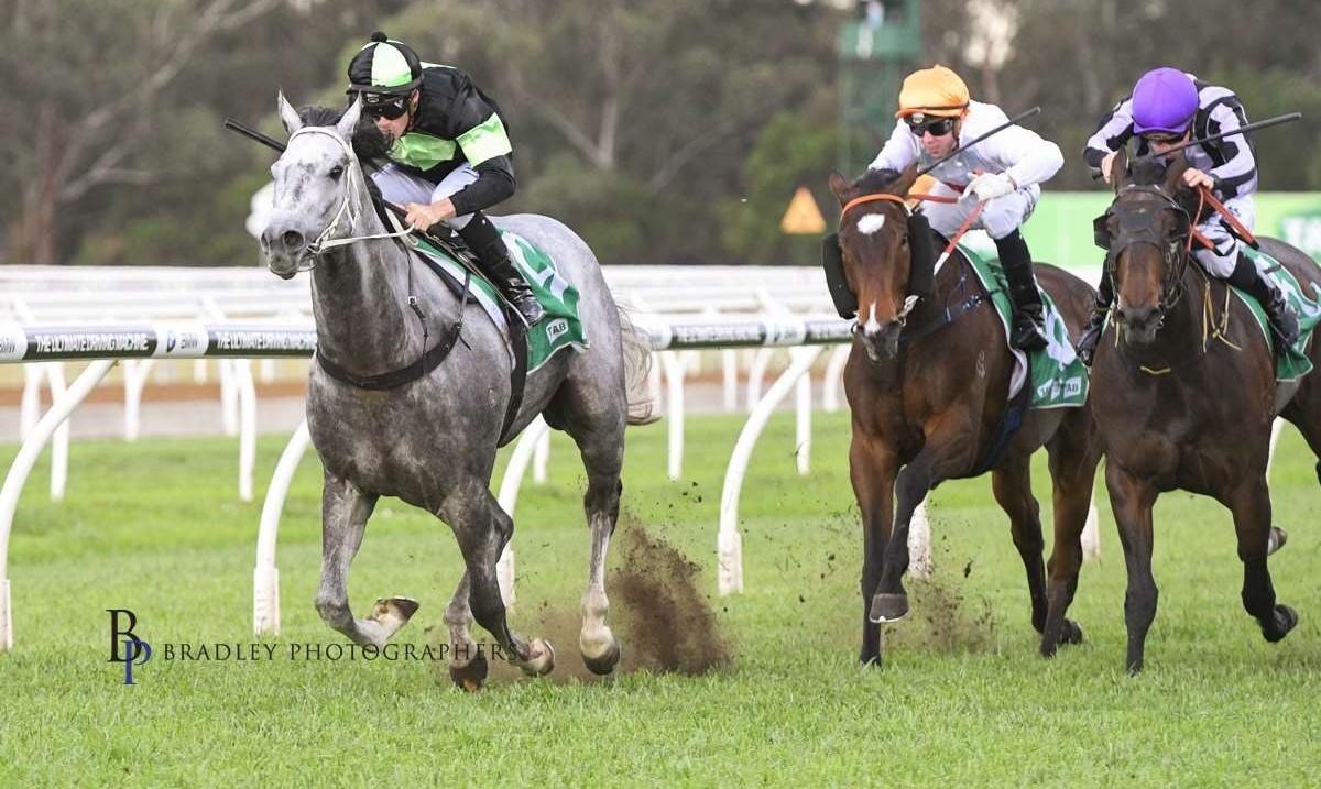 SO SPIRITED back in the winners’ stall! - Proven Thoroughbreds