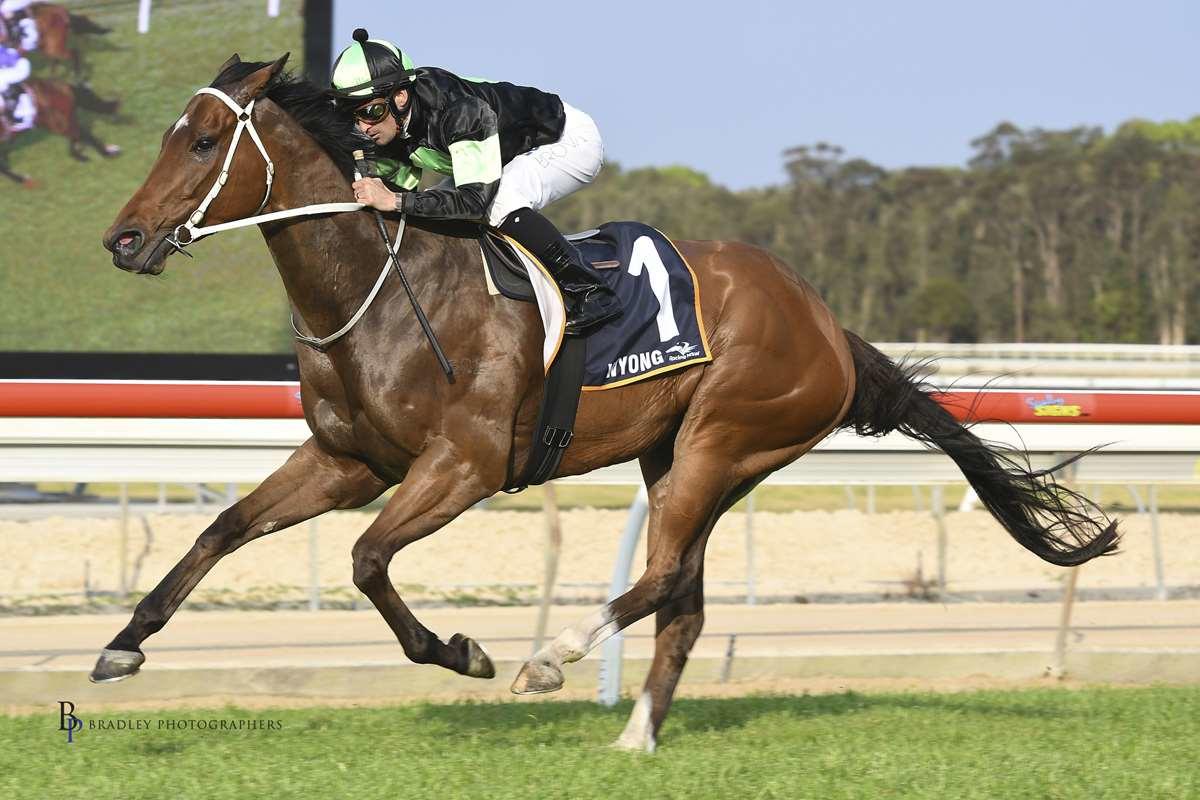 He’s the MASTER! - Proven Thoroughbreds