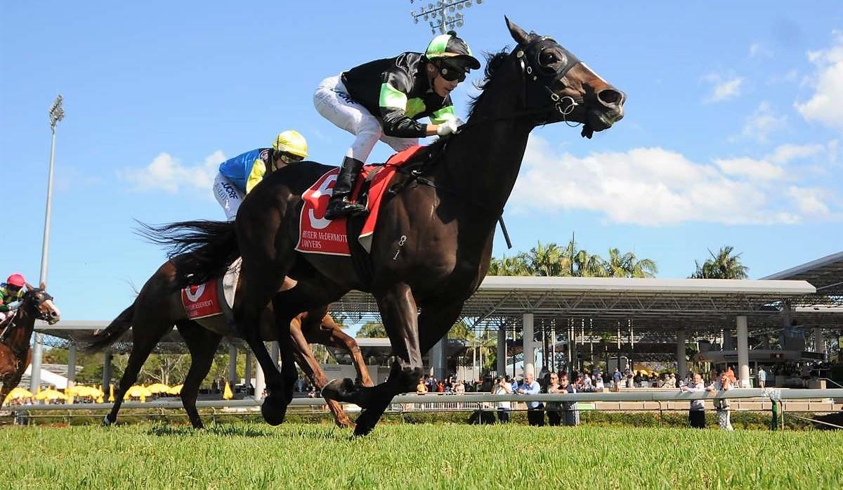 The Week Ahead SEP 28-OCT 5 - Proven Thoroughbreds