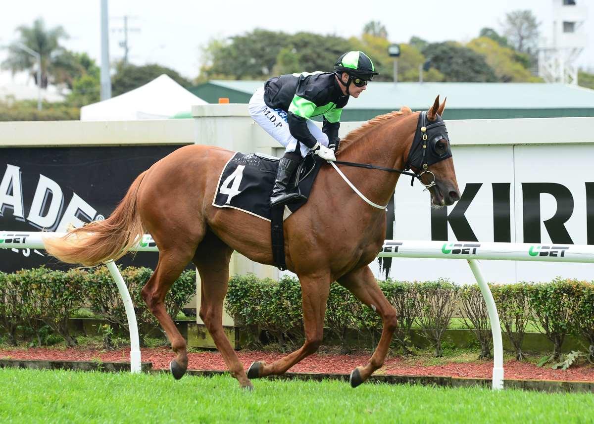 Double time at Doomben! - Proven Thoroughbreds