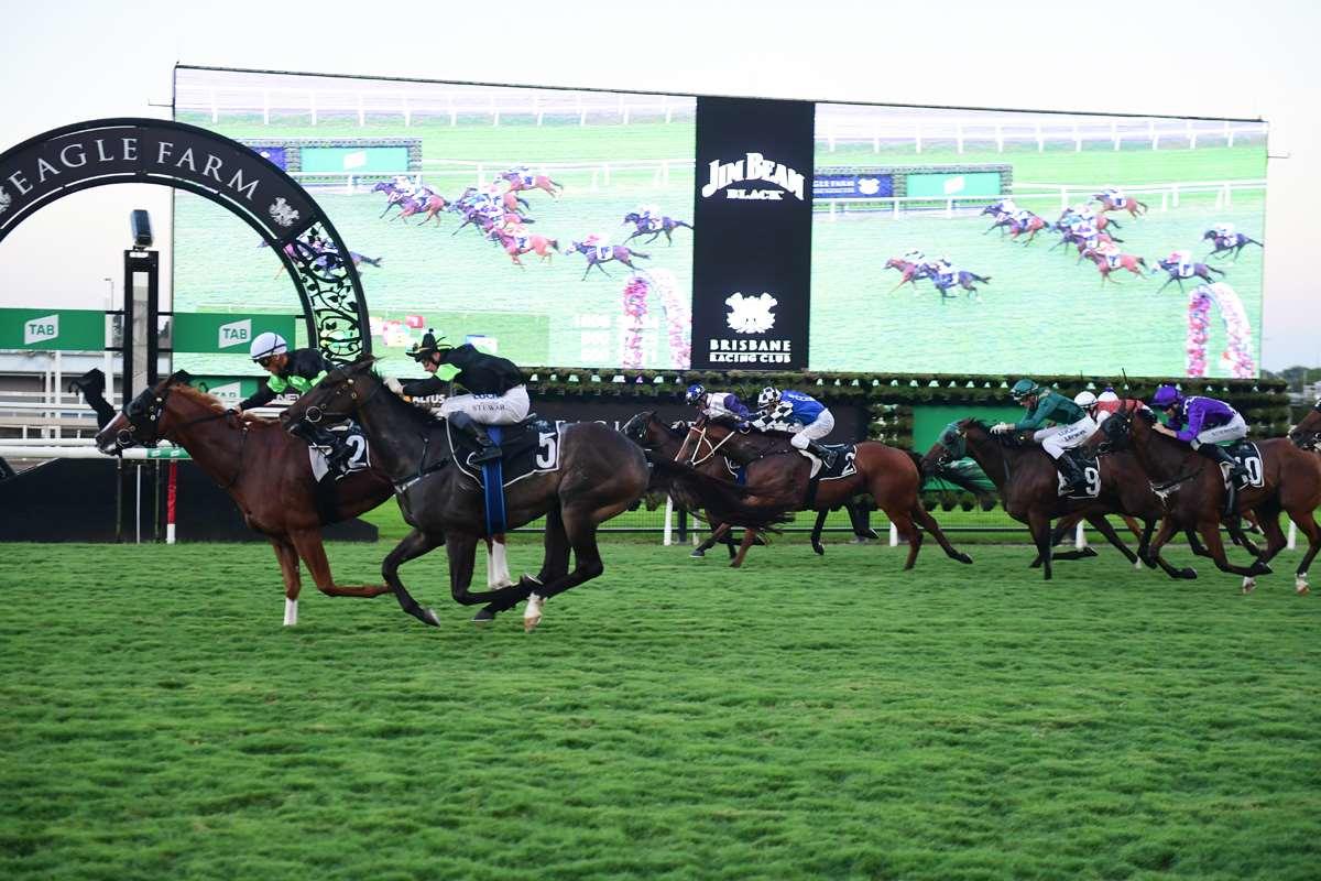 SEQUENCE of wins continues! - Proven Thoroughbreds