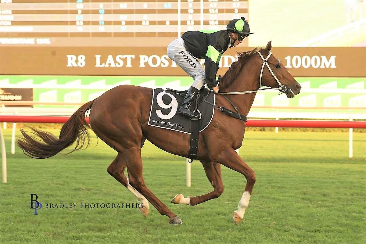 The Week Ahead MAY 20-26 - Proven Thoroughbreds