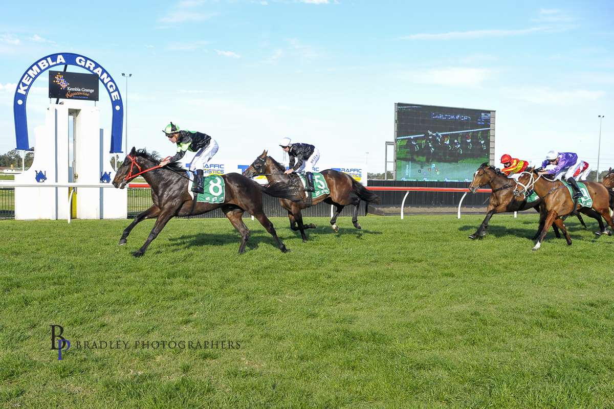 Proven doubles up on first day of new season! - Proven Thoroughbreds