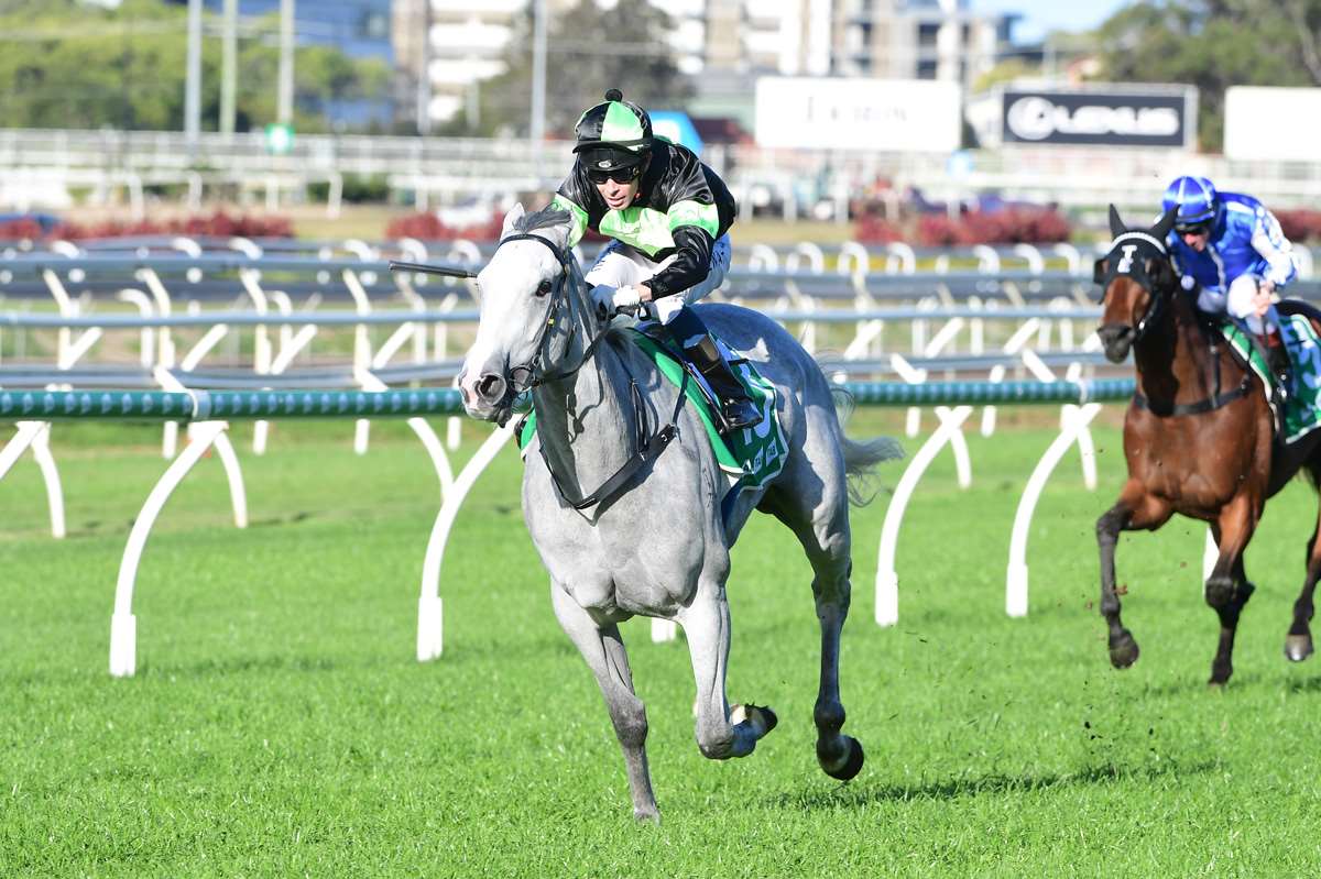 O’Dea and Proven double up at Eagle Farm - Proven Thoroughbreds