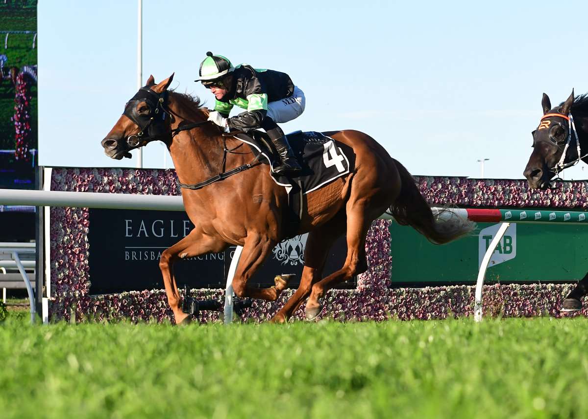 New look QLD winter carnival unveiled - Proven Thoroughbreds