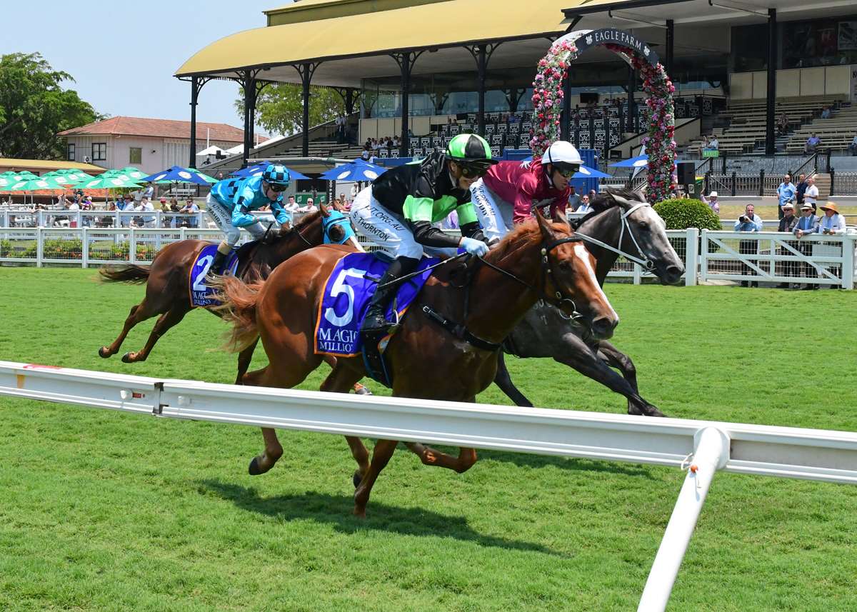 The Week Ahead NOV 17 - Proven Thoroughbreds
