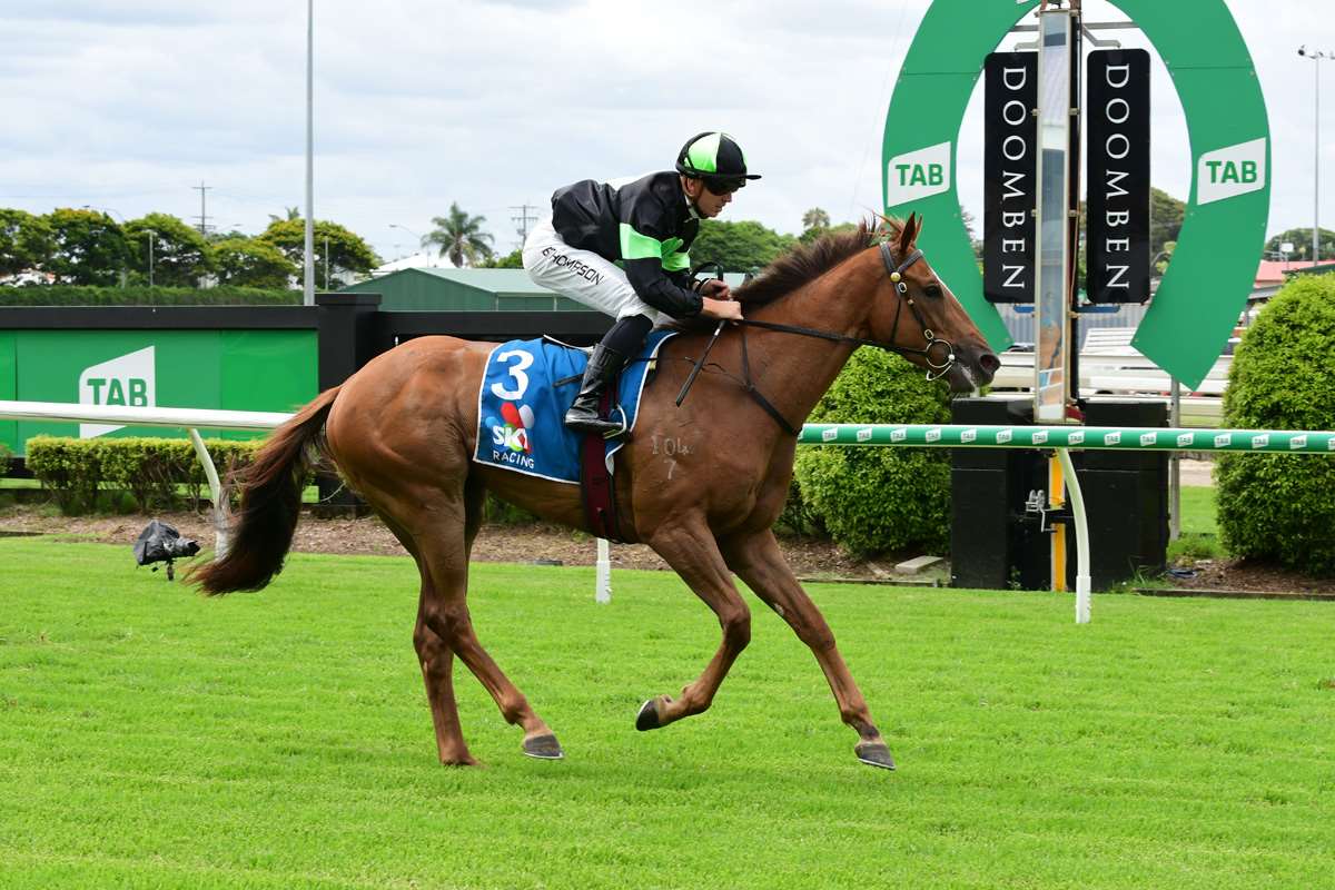 The Week Ahead JAN 20 - Proven Thoroughbreds