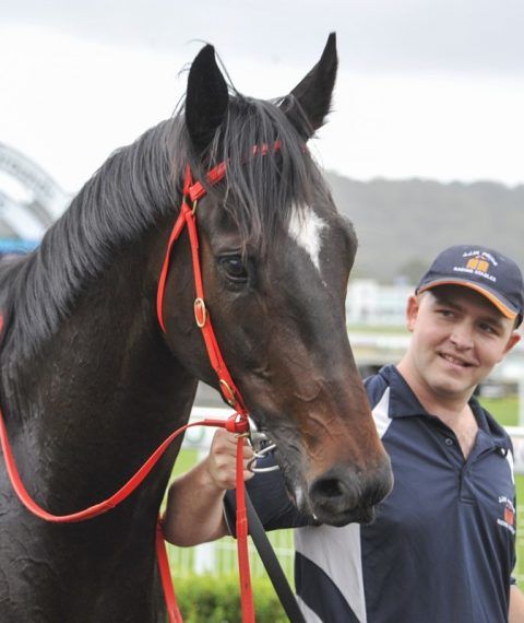 Proven Thoroughbreds • Home Of Syndication | Winners