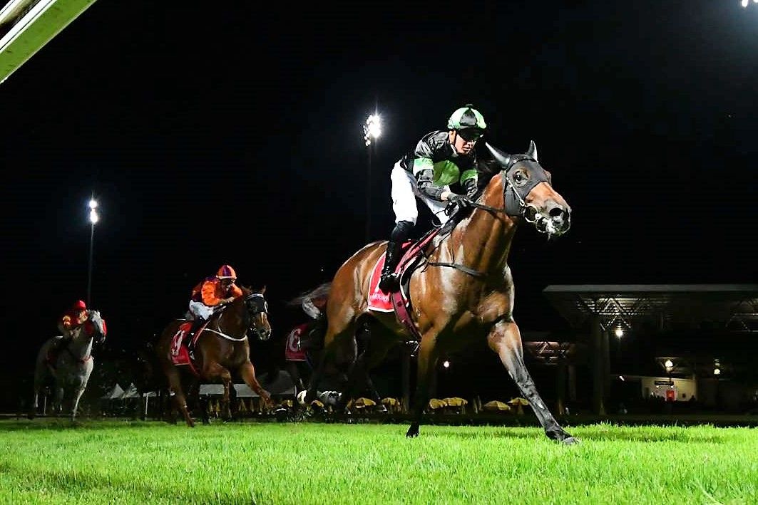 The Week Ahead MAR 2 - Proven Thoroughbreds