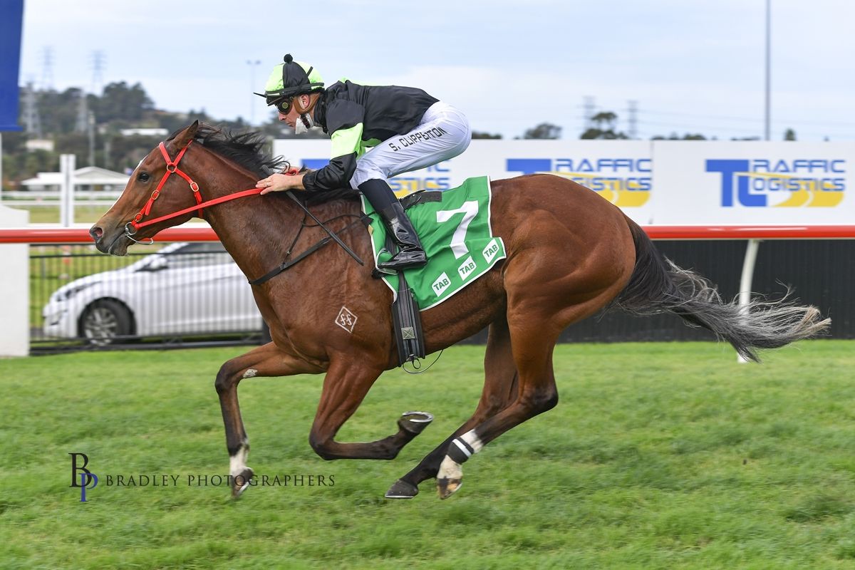 The Week Ahead JUL 20 - Proven Thoroughbreds