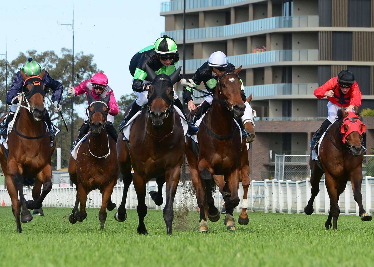 CONTEMPTUOUS leads in Proven quinella - Proven Thoroughbreds