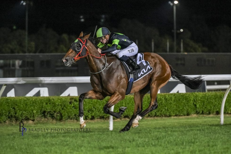 MACCOMO runs them ragged! - Proven Thoroughbreds