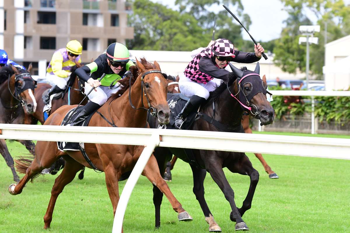 TERANGA stakes bound! - Proven Thoroughbreds