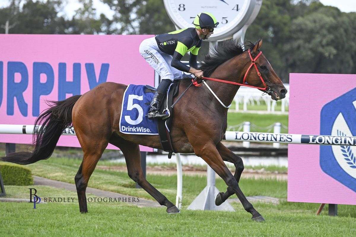 Proven Thoroughbreds :: Latest News