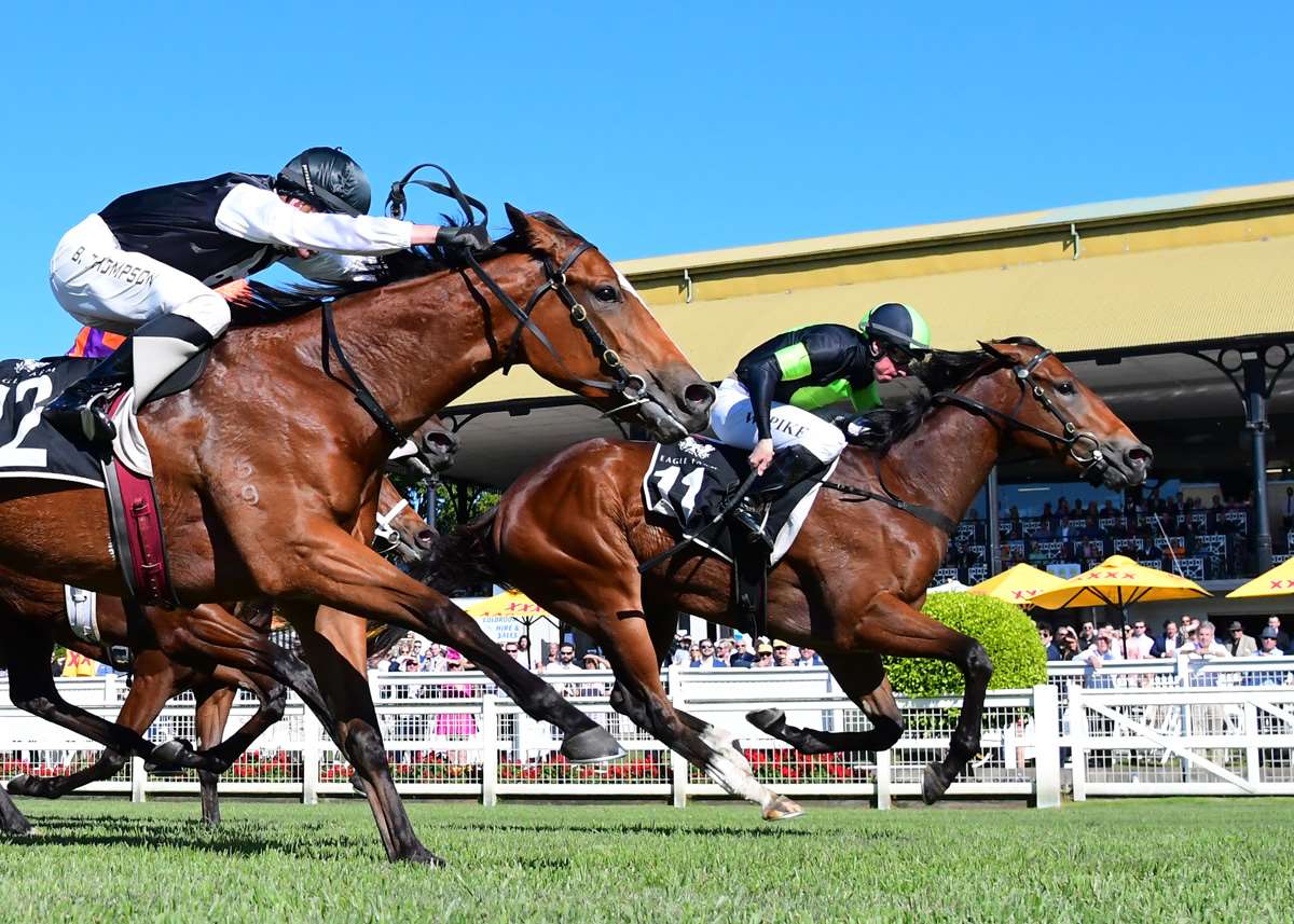 The Week Ahead Nov 7 - Proven Thoroughbreds