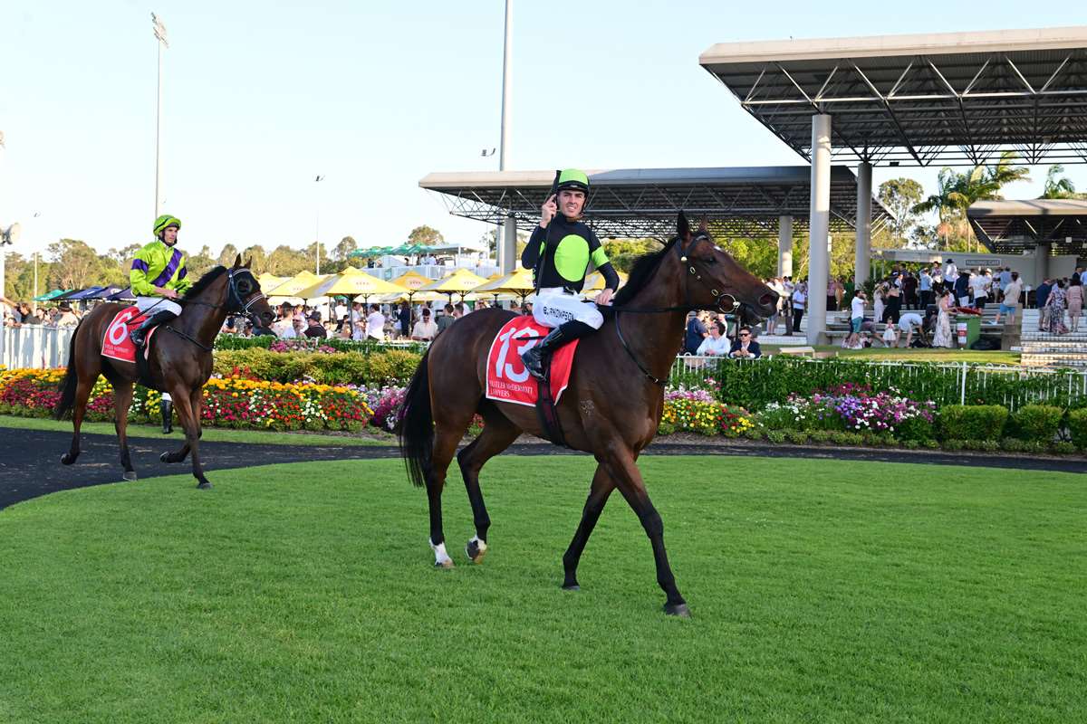 BETTER scores again! - Proven Thoroughbreds