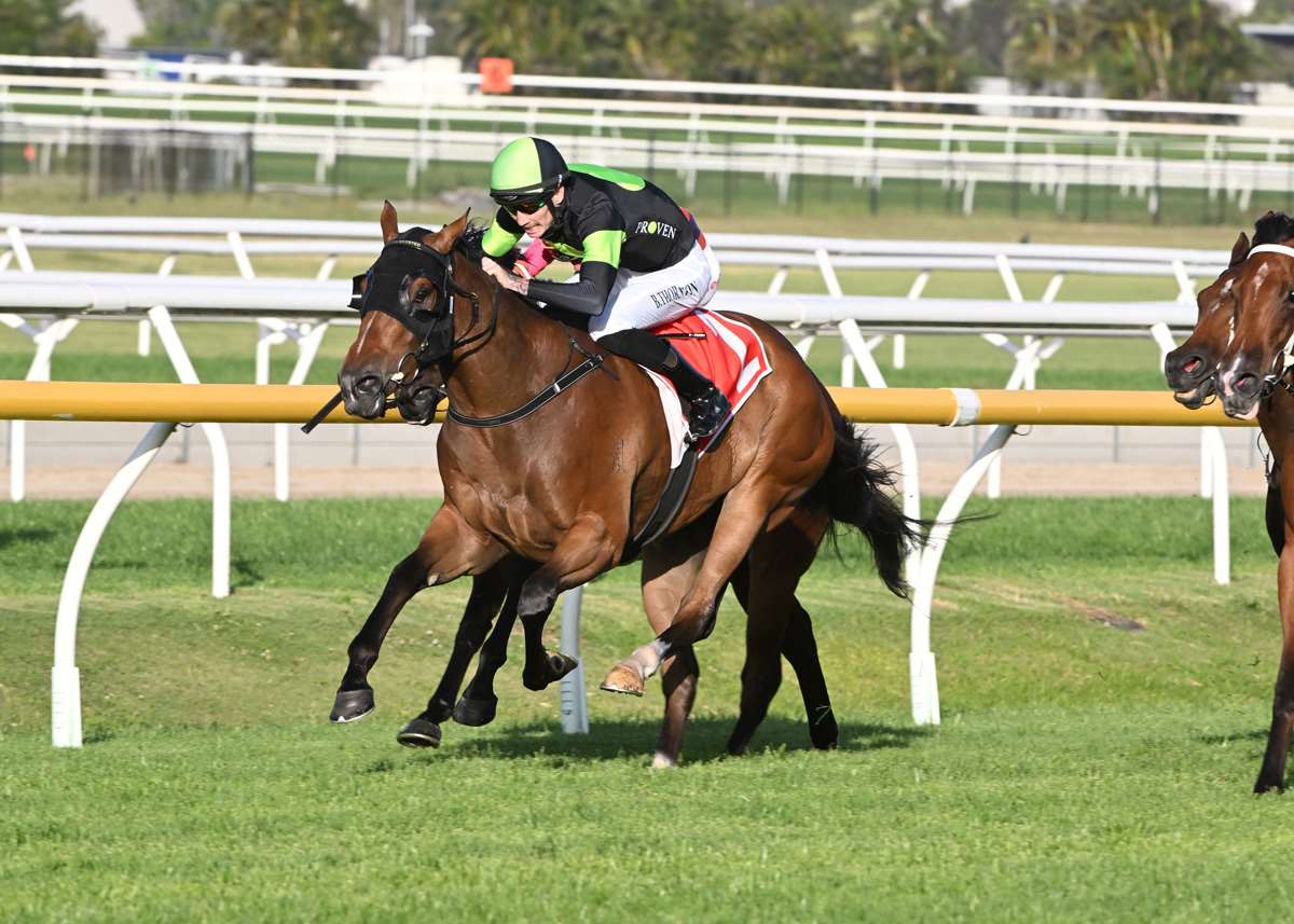 The Week Ahead Dec 28 - Proven Thoroughbreds