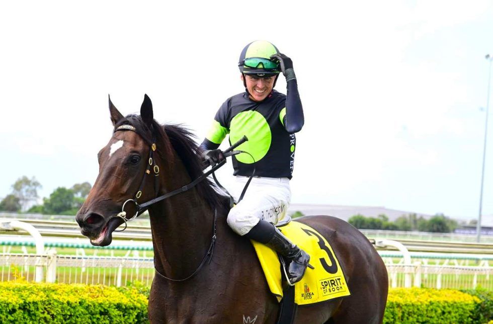 Proven Thoroughbreds • Racehorse Syndication