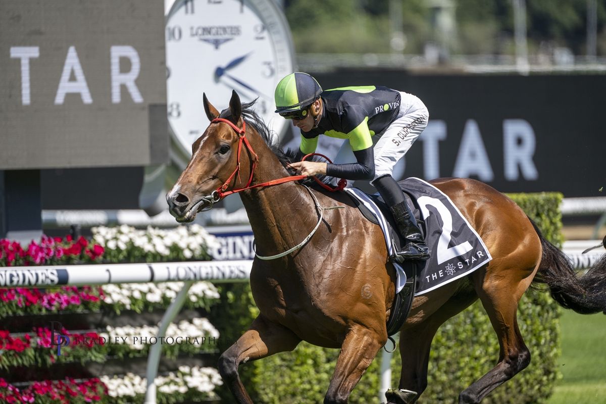 The Week Ahead Feb 7 - Proven Thoroughbreds