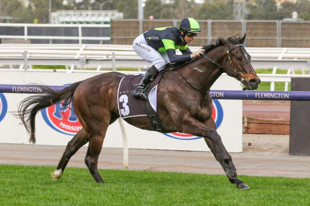 The Week Ahead Feb 14 - Proven Thoroughbreds