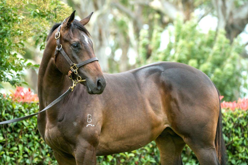 The Week Ahead Feb 28 - Proven Thoroughbreds