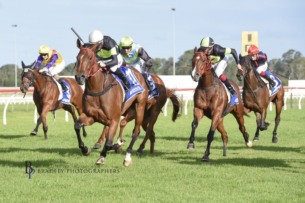 LICHESTER confirms promise - Proven Thoroughbreds