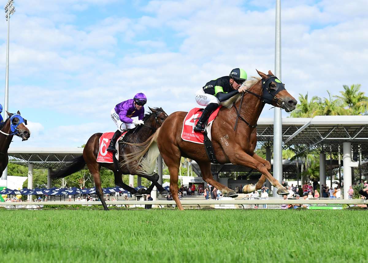 DEEP CLEAN shines through! - Proven Thoroughbreds