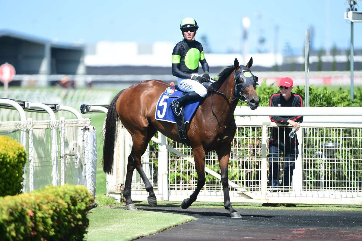 The Week Ahead Jun 20 - Proven Thoroughbreds