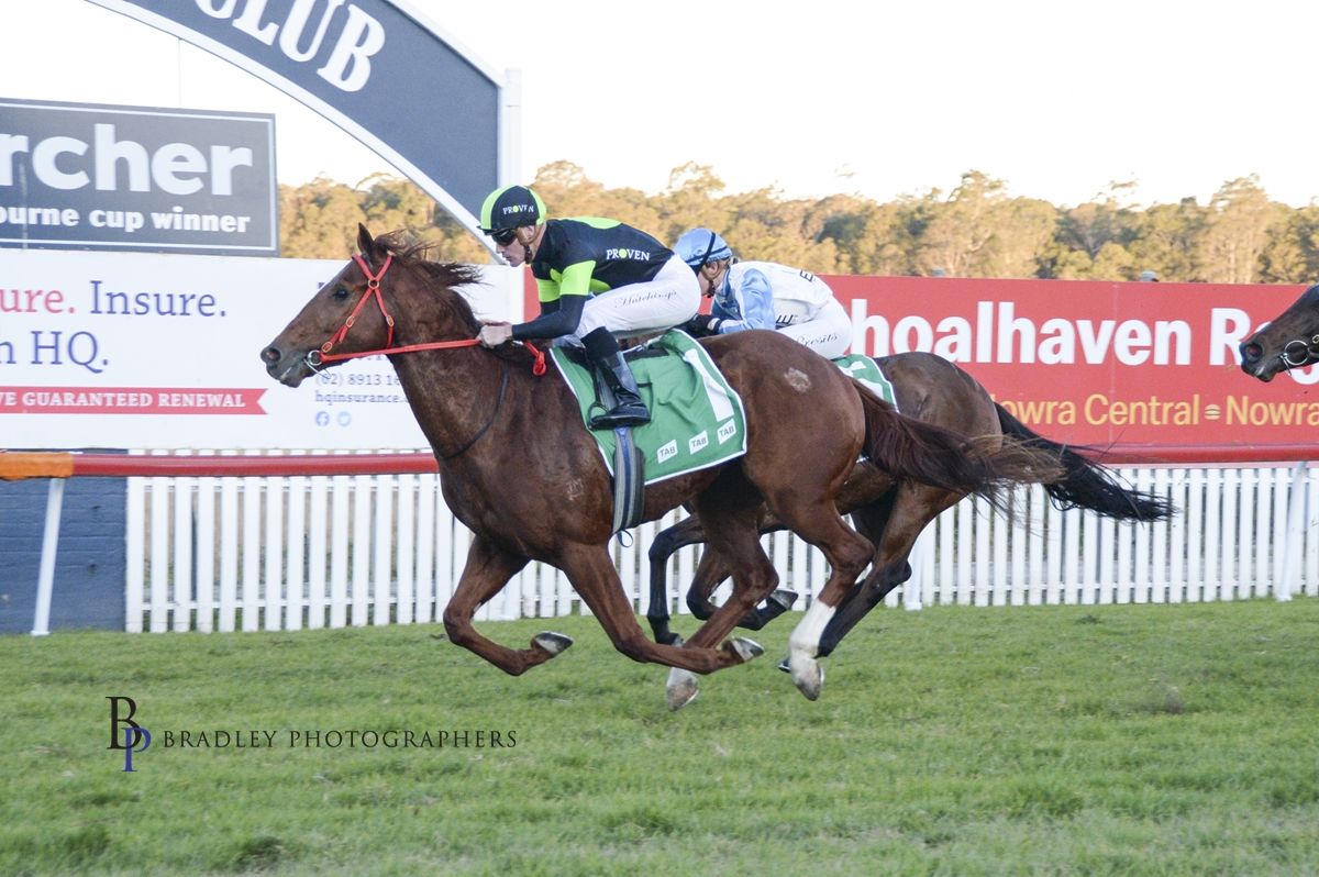 The Week Ahead Jul 3 - Proven Thoroughbreds
