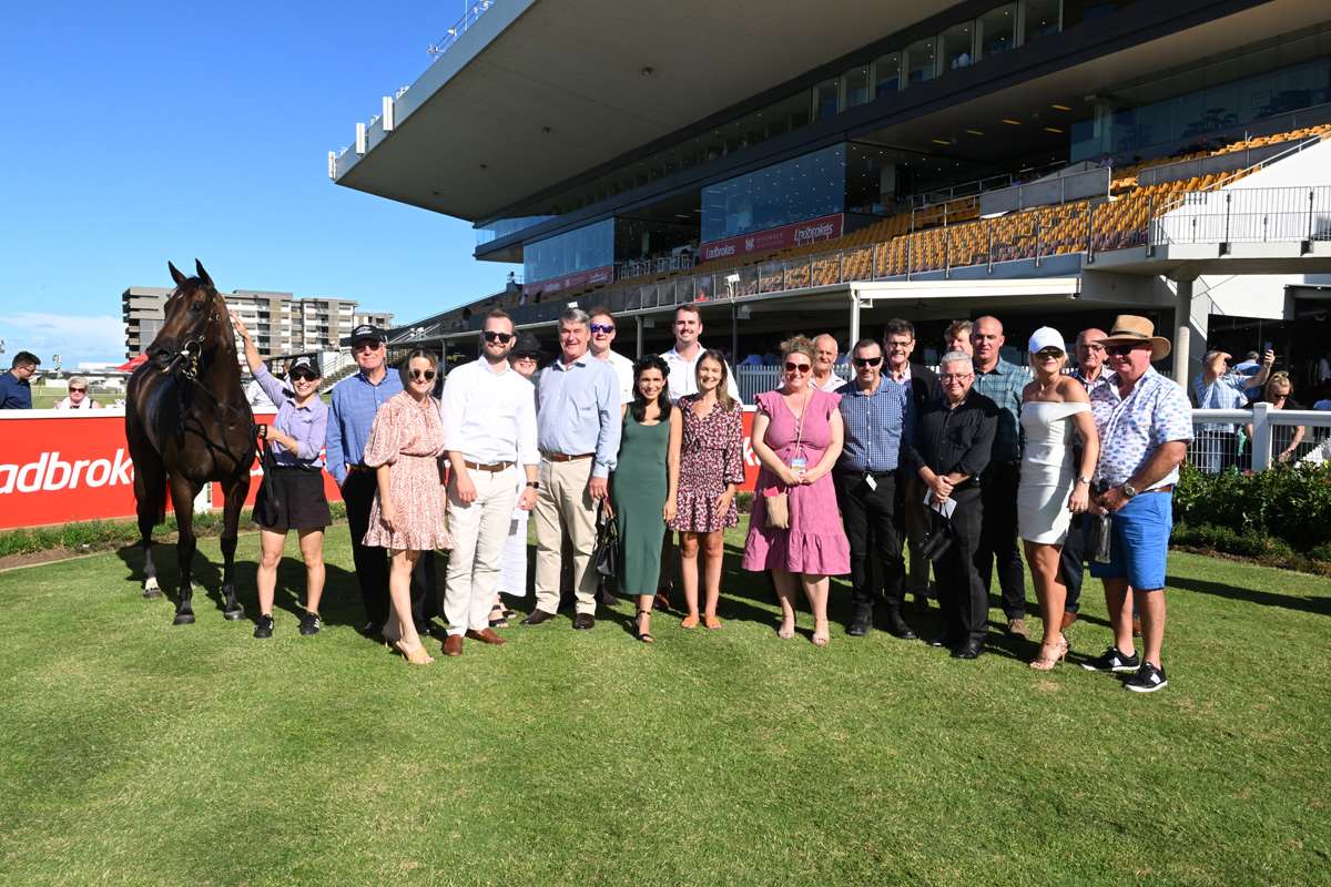 Proven Thoroughbreds :: Latest News