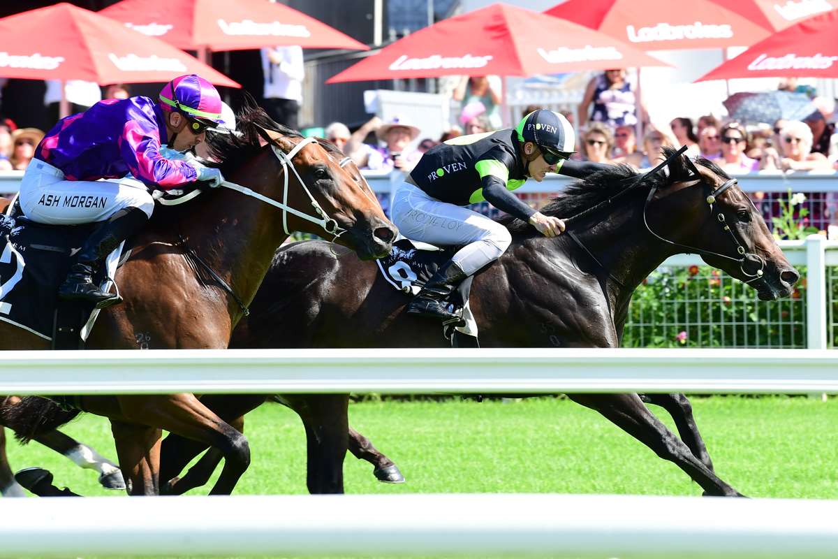 The Week Ahead Aug 23 - Proven Thoroughbreds