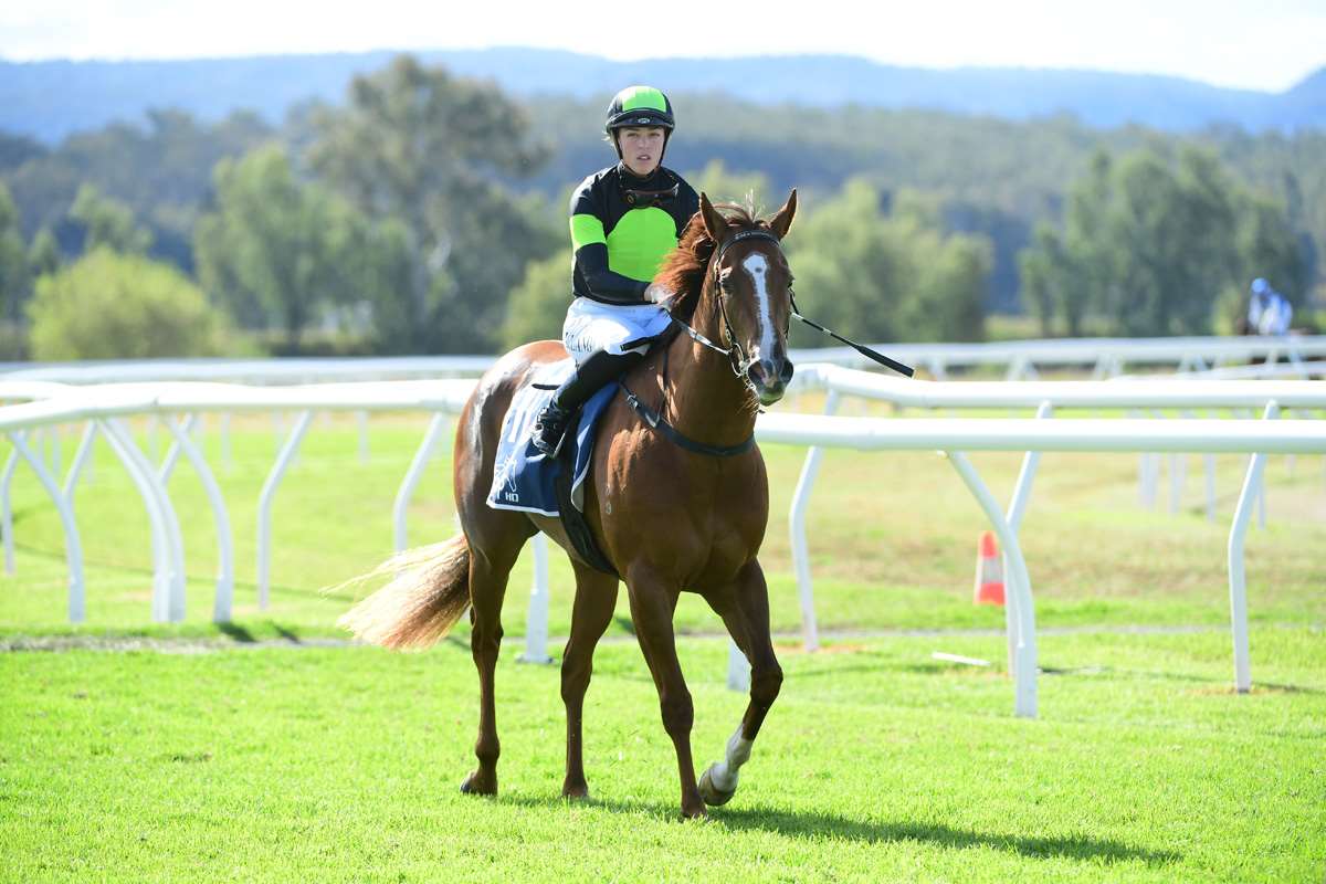 UNDERHAND bolts in! - Proven Thoroughbreds