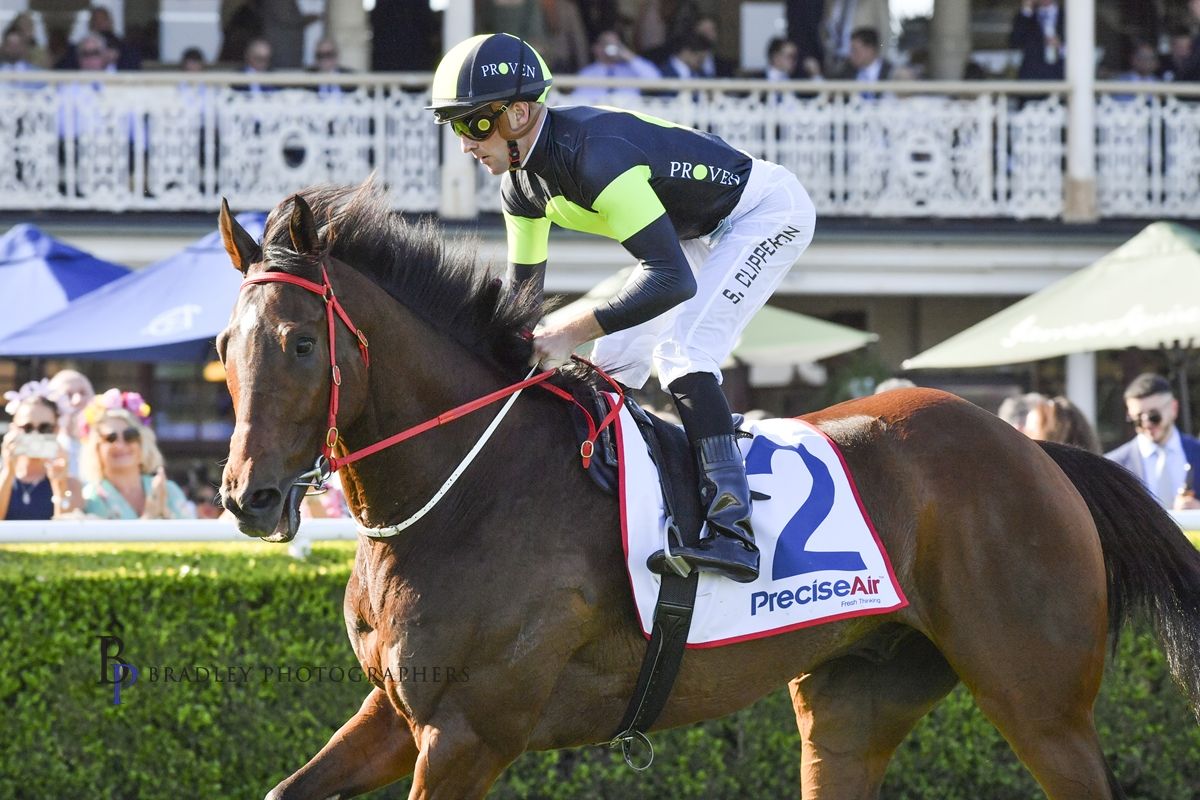 THINK ABOUT IT lays down Everest marker - Proven Thoroughbreds