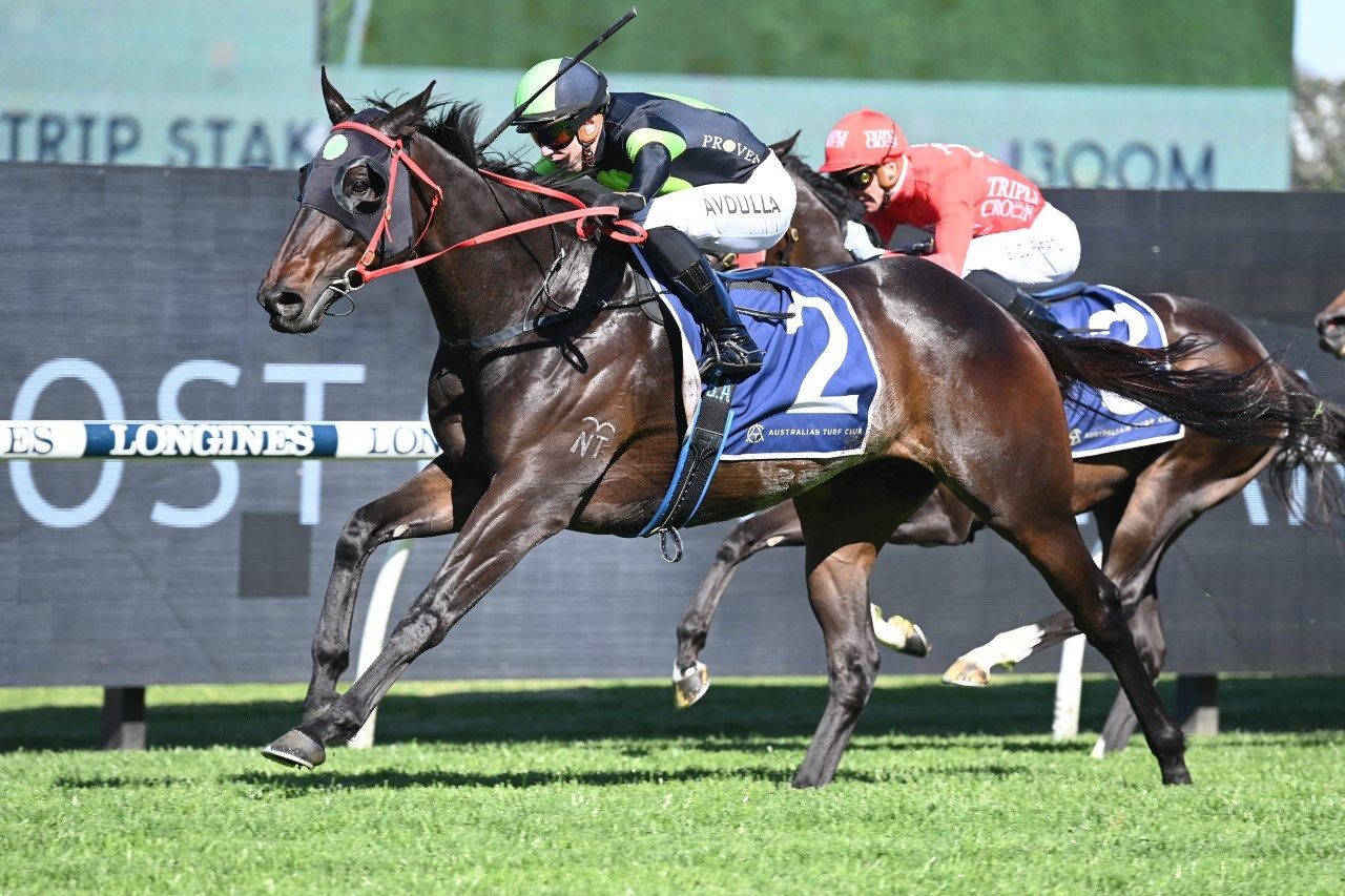 The Week Ahead Sep 12 - Proven Thoroughbreds