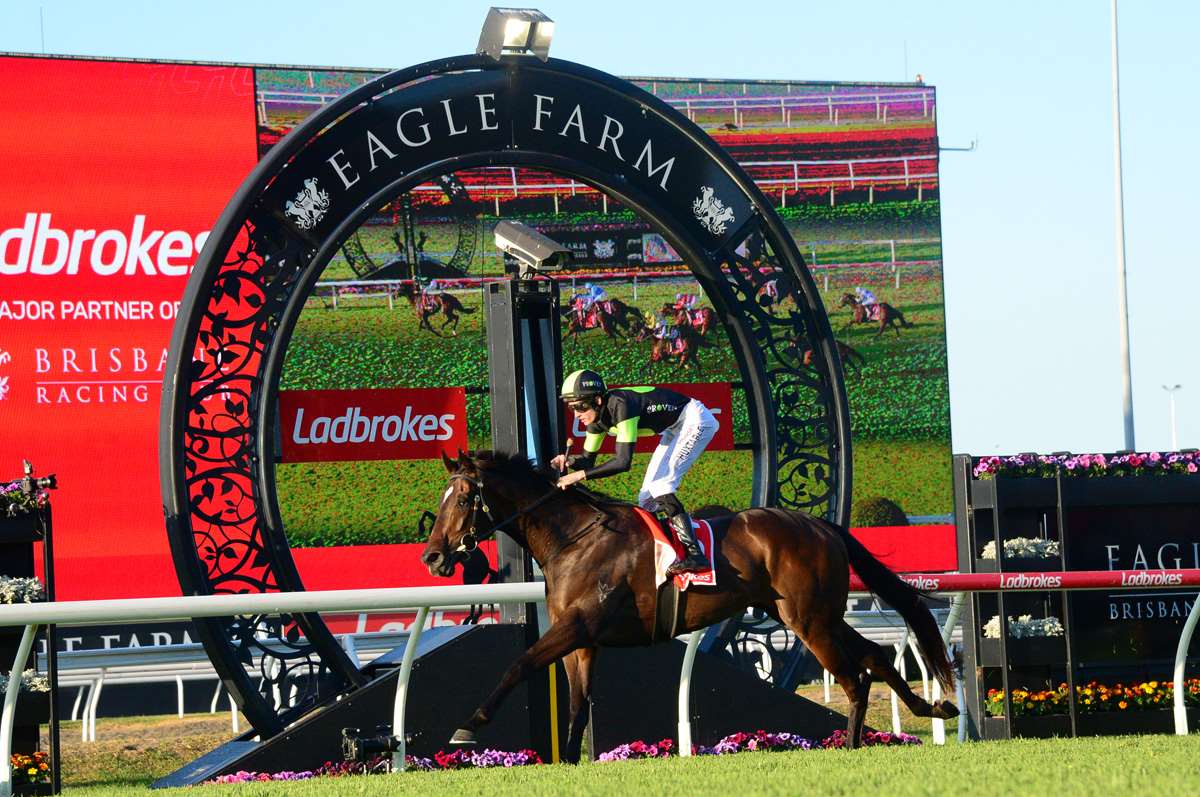 CANADIAN dances her way to track record win - Proven Thoroughbreds