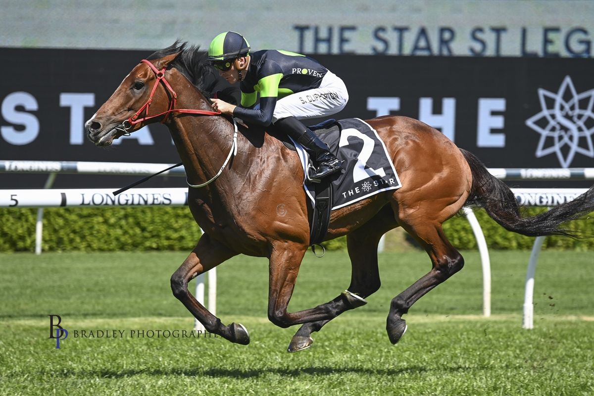 The Week Ahead Oct 5 - Proven Thoroughbreds