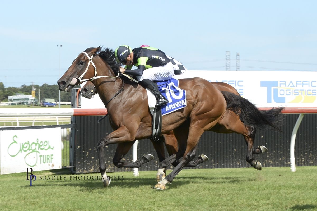 LICHESTER relishes new home track! - Proven Thoroughbreds