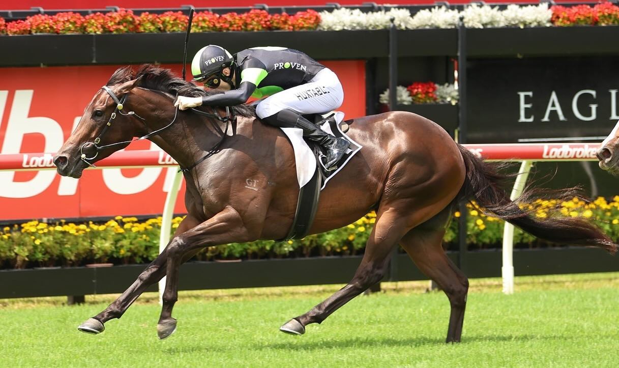 The good Fortune rolls on! - Proven Thoroughbreds