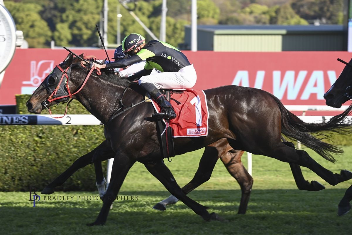 The Week Ahead Feb 14 - Proven Thoroughbreds
