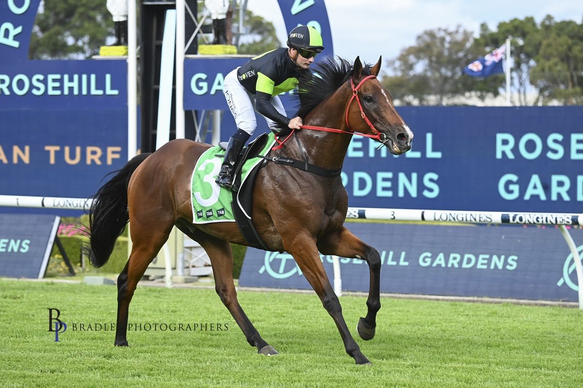 The Week Ahead Feb 21 - Proven Thoroughbreds