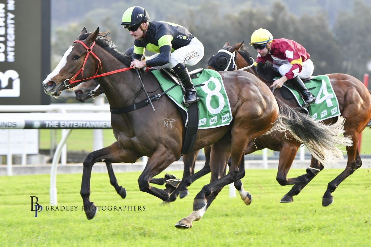 Proven Thoroughbreds :: Latest News