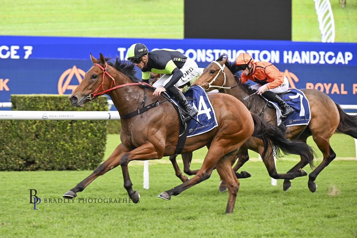 THE BLACK CLOUD rumbles on return! - Proven Thoroughbreds