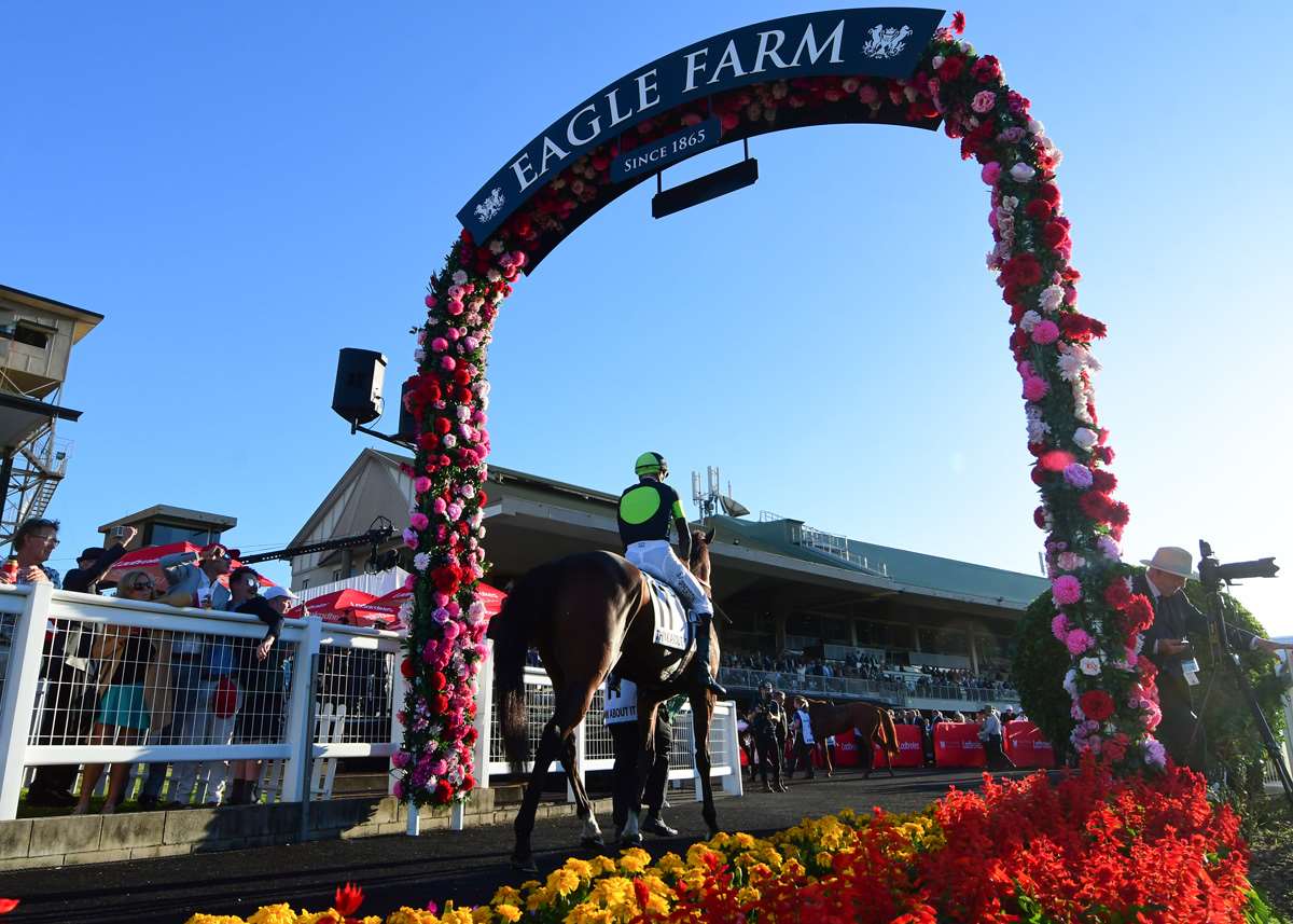 Proven Thoroughbreds :: Latest News