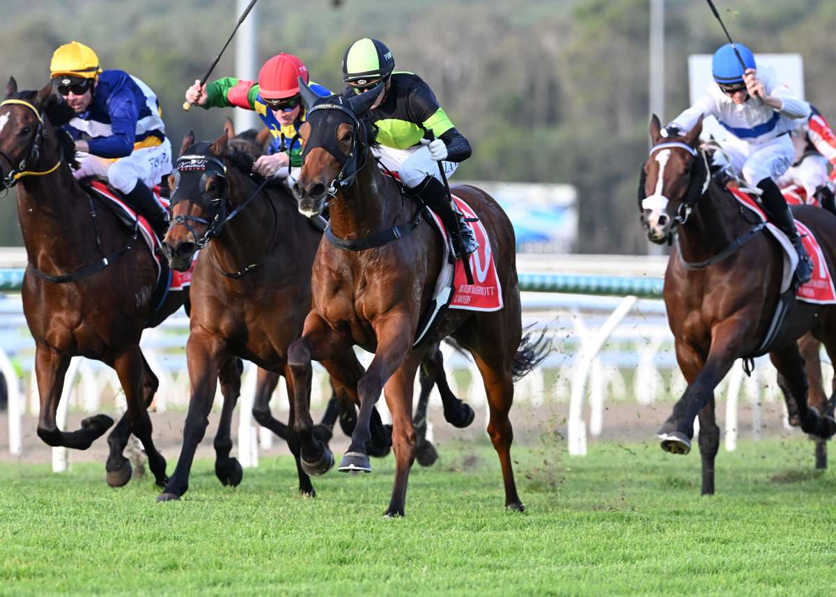 TERMAGANT back with a bang! - Proven Thoroughbreds