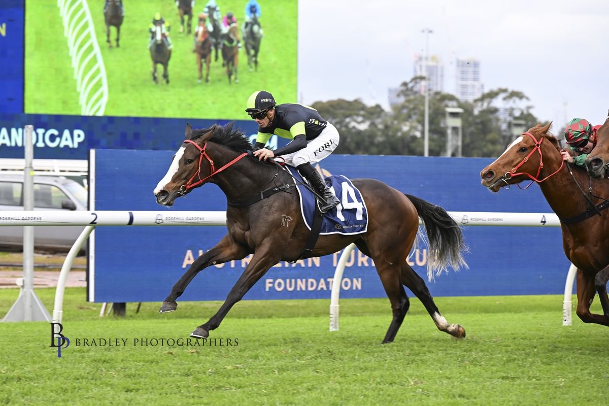 IN FLIGHT reaches new heights! - Proven Thoroughbreds