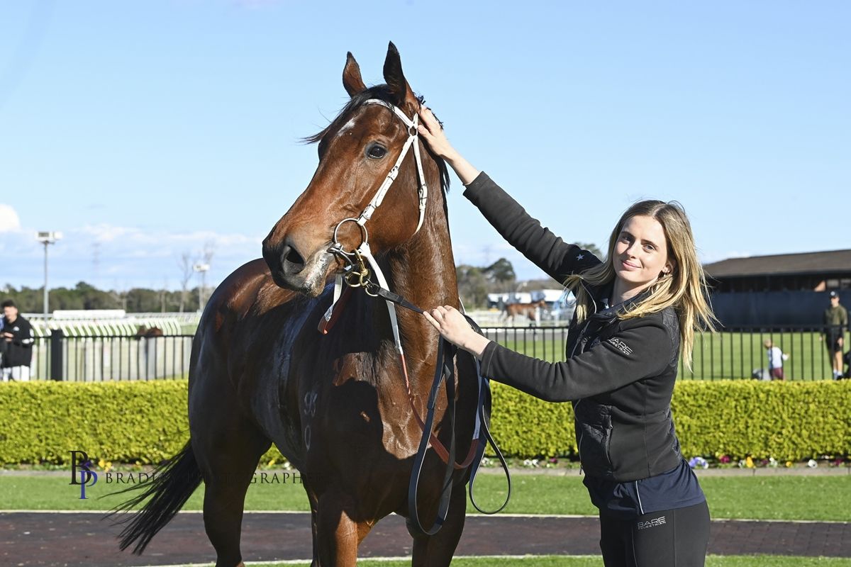 5 winners in 5 days! - Proven Thoroughbreds