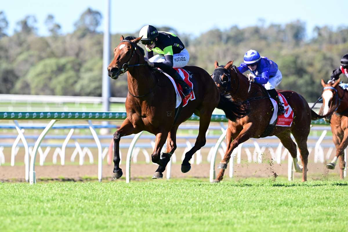 8 days...8 winners! - Proven Thoroughbreds