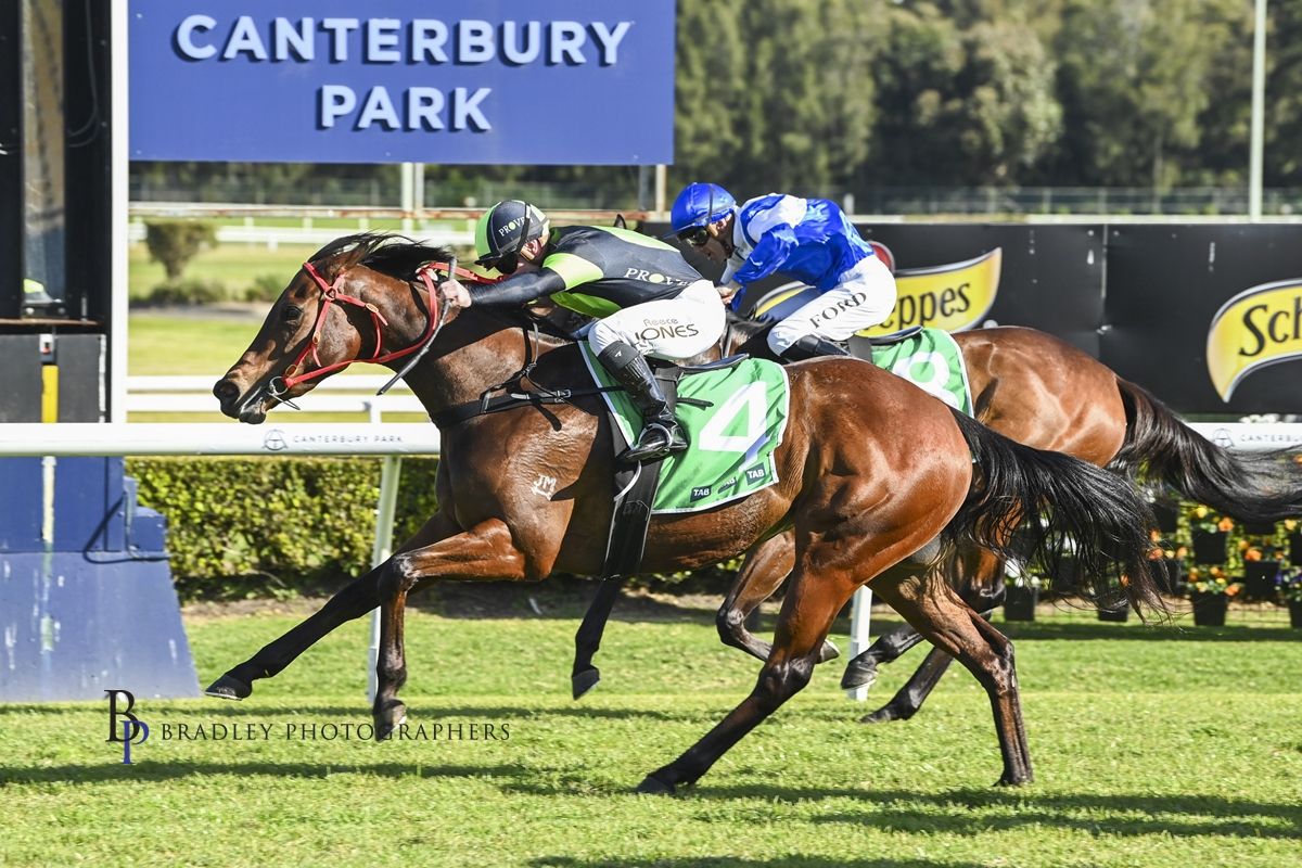 COSMONOVA sparkles in return to form - Proven Thoroughbreds