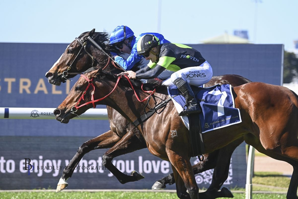 COSMONOVA wins again...just! - Proven Thoroughbreds
