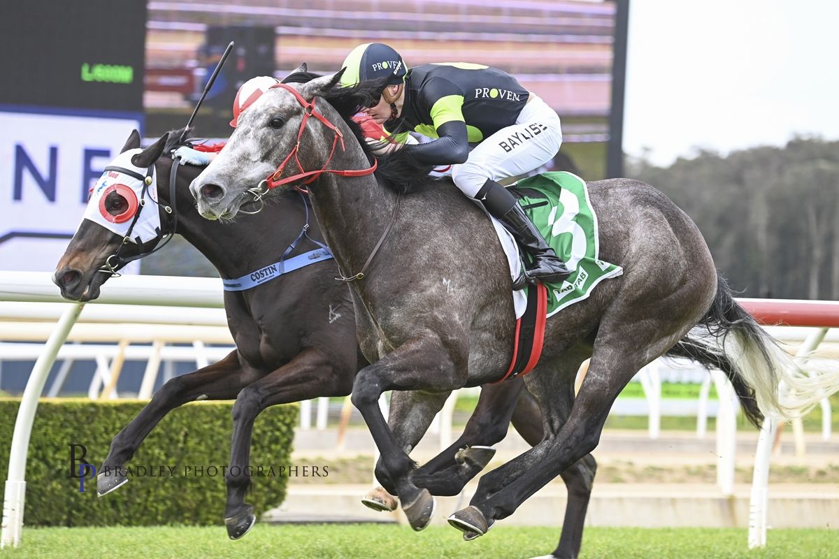 HUDSON breaks through! - Proven Thoroughbreds